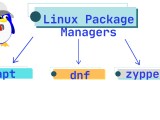 Linux Package Managers Testingdocs