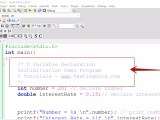 C Comments Testingdocs