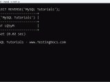 Mysql Reverse Function Testingdocs