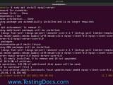 Install Mysql Server On Linux Testingdocs