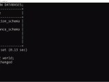Mysql Use Statement Testingdocs