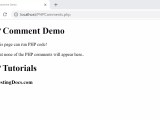 Php Comments Testingdocs