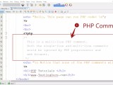 Php Comments Testingdocs