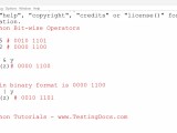 Python Bitwise Operators Testingdocs