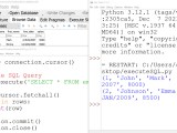 Python Execute Sql Query Testingdocs
