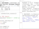 Python Execute Sql Query Testingdocs
