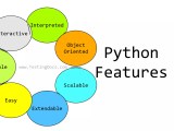 Python Language Features Testingdocs