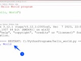 First Python Program Hello World Testingdocs
