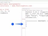 Python Multiple Assignments Testingdocs
