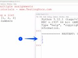 Python Multiple Assignments Testingdocs