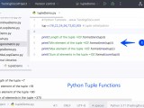 Python Tuple Functions Testingdocs