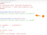 Python User Defined Exceptions Testingdocs