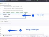 Python For Loop Testingdocs