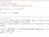 Python Input Function Testingdocs
