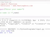 Python Input Function Testingdocs