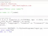 Python Input Function Testingdocs