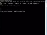 Python Interactive Shell Testingdocs