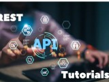 Rest Api Testing Tutorials Testingdocs