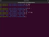 Rm Linux Command Testingdocs