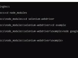 Install Selenium Webdriver Package Testingdocs
