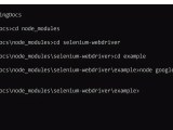 Install Selenium Webdriver Package Testingdocs