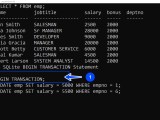 Sqlite Begin Transaction Statement Testingdocs