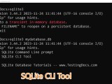 Sqlite Database Archives Testingdocs