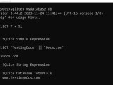 Sqlite Expressions Testingdocs