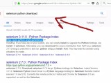Python Language Bindings For Selenium Testingdocs