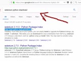 Python Language Bindings For Selenium Testingdocs