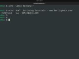 Shell Scripting Tutorials For Beginners Testingdocs