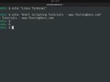 Shell Scripting Tutorials For Beginners Testingdocs