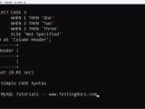 Mysql Case Function Testingdocs