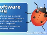 Software Bug Testingdocs