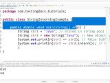 String Interning In Java Testingdocs