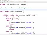 Java Switch Statement Testingdocs