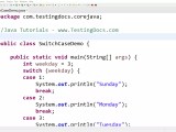 Java Switch Statement Testingdocs