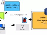 Defect Management Process Testingdocs