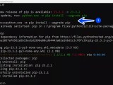 Python Pip Testingdocs