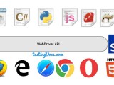 Selenium Webdriver Architecture Testingdocs
