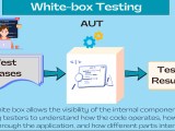 White Box Testing Testingdocs