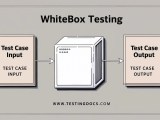 White Box Testing Testingdocs