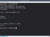 Cat Linux Command Testingdocs