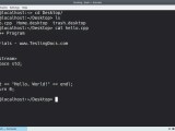 Cat Linux Command Testingdocs