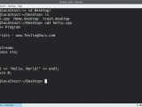 Cat Linux Command Testingdocs