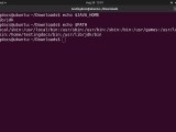 Echo Linux Command Testingdocs