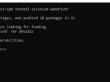 Install Selenium Webdriver Package Testingdocs