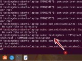 Sudo Linux Command With Examples Testingdocs