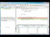 Java N2 Using The Netbeans Debugger