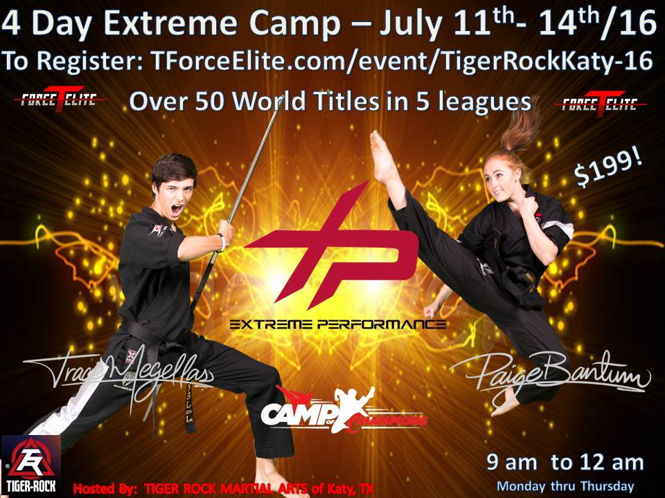 TForceElite Day Camp of Champions – 7/11-7/14/16 Tiger Rock Martial ...